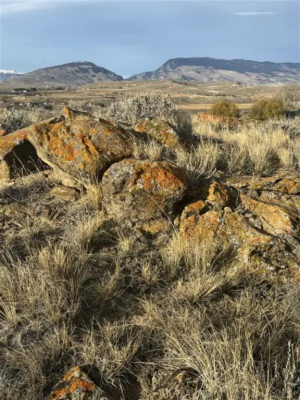 TBD Tailwinds Dr, Cody, WY Lots/Land