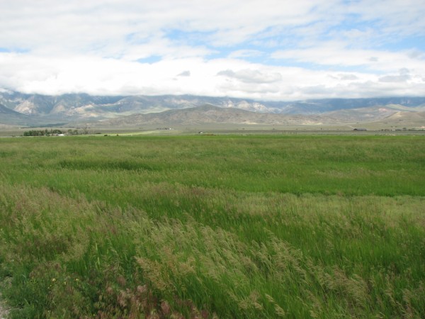 Northern Wyoming Land For Sale | Canyon Real Estate, Cody Wyoming