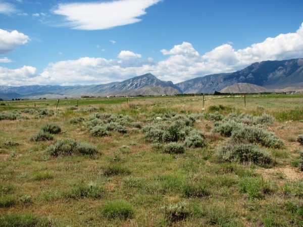 Northern Wyoming Land For Sale | Canyon Real Estate, Cody Wyoming