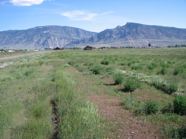 Northern Wyoming Land For Sale | Canyon Real Estate, Cody Wyoming